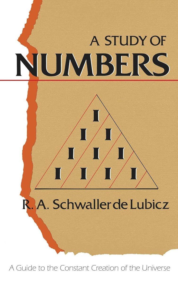 A Study of Numbers: A Guide to the Constant Creation of the Universe ...